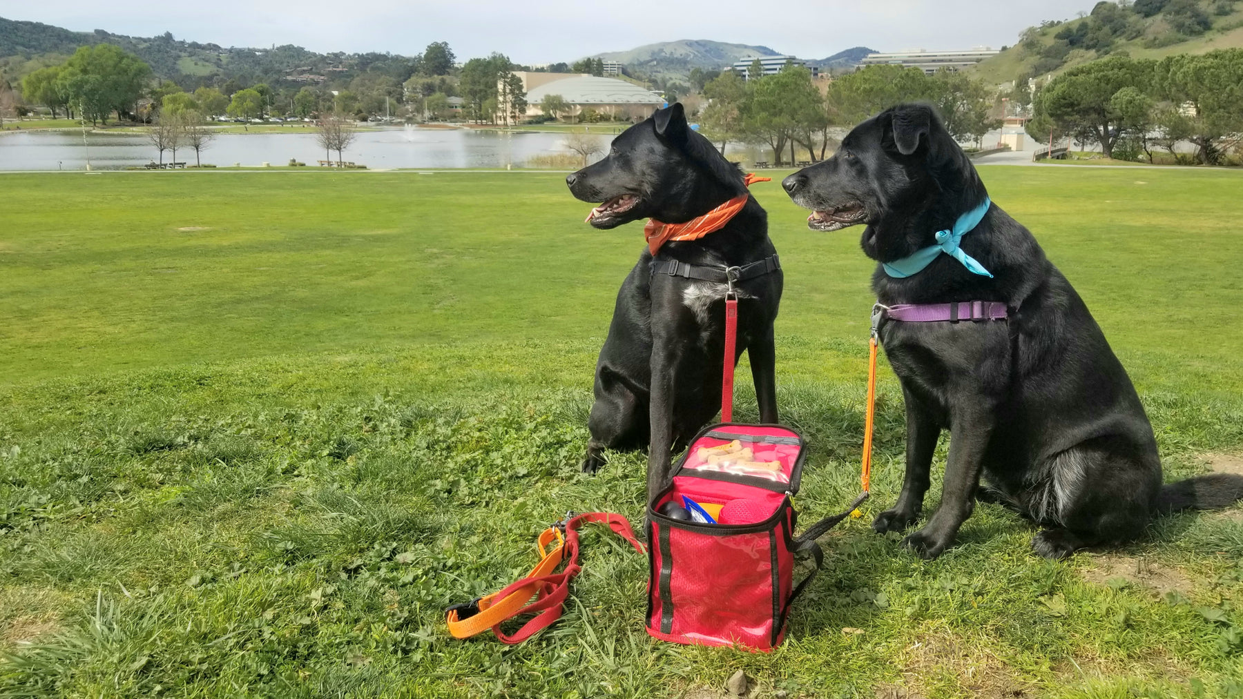 Ultra Organized Gear Bags for All Lifestyles – Victory Sportdesign